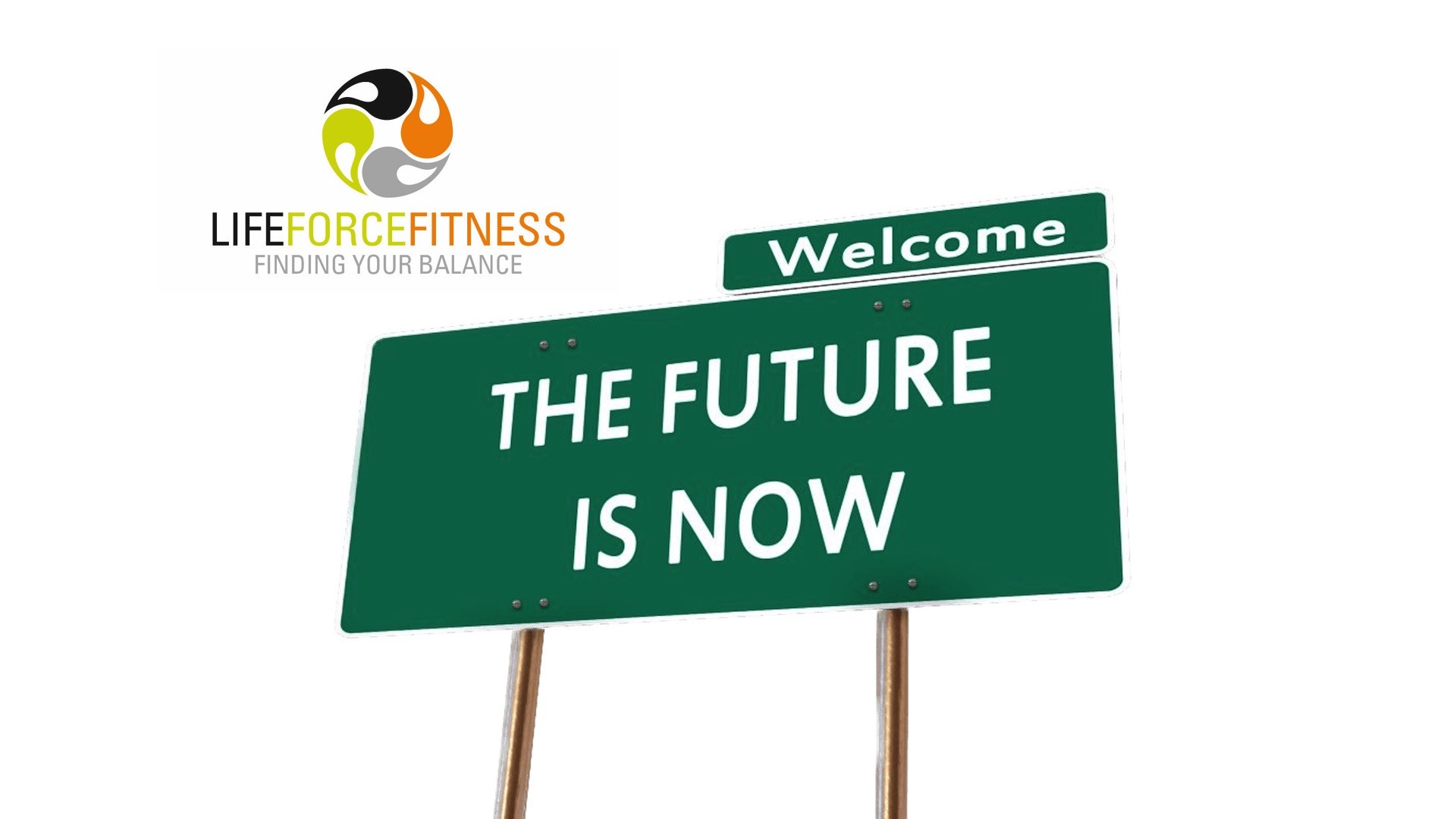 Life Force Fitness: Finding Your Balance - Personal Training